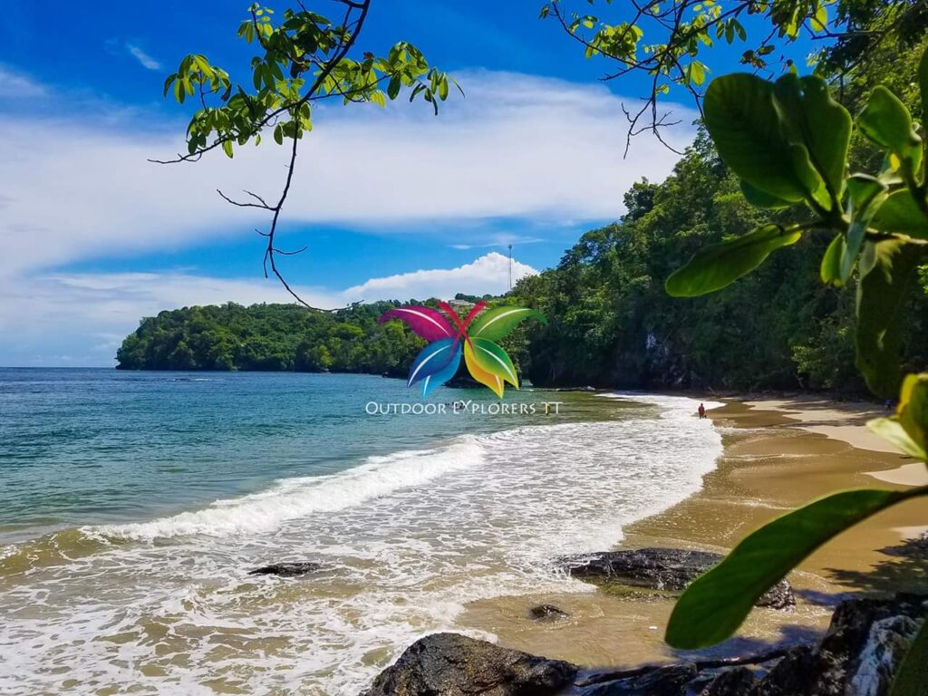 Pineapple and Cocoa Estate Tour (All-Inclusive) - WahWeDoing?